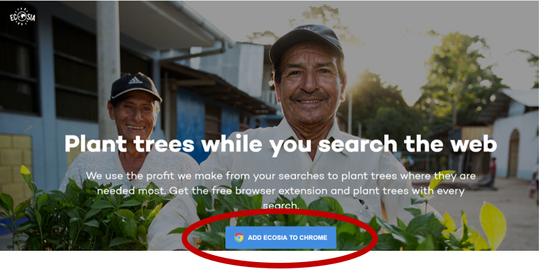 - Download and install Ecosia search engine in your browser - IT Portal